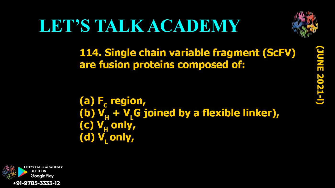 Single Chain Variable Fragments: Key Component in Antibody Engineering