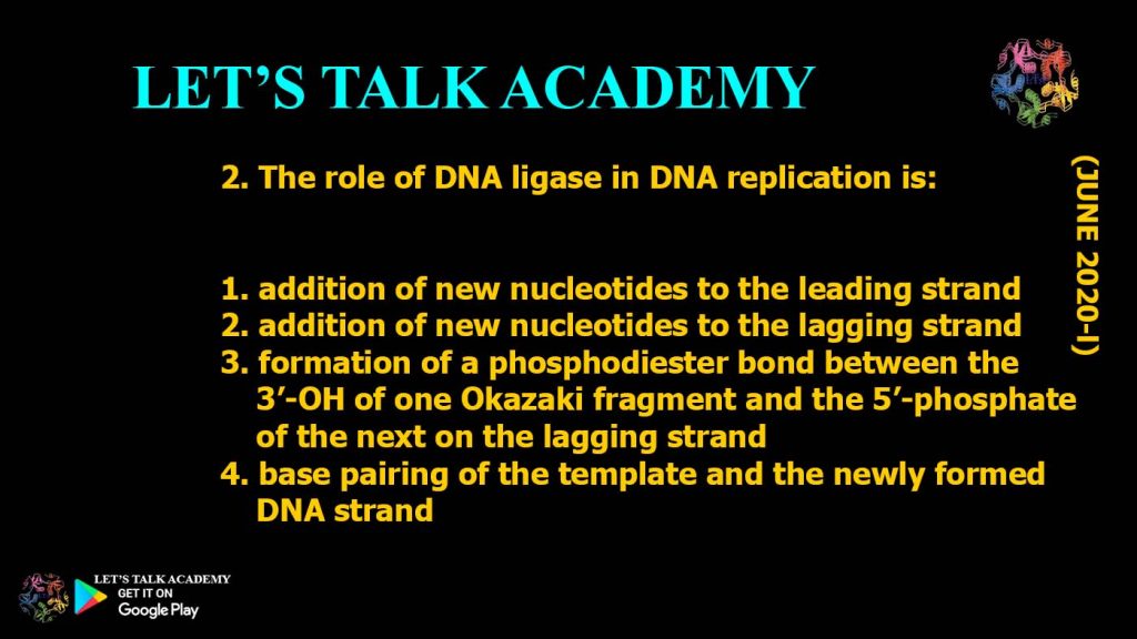 What Is the Role of DNA Ligase in DNA Replication