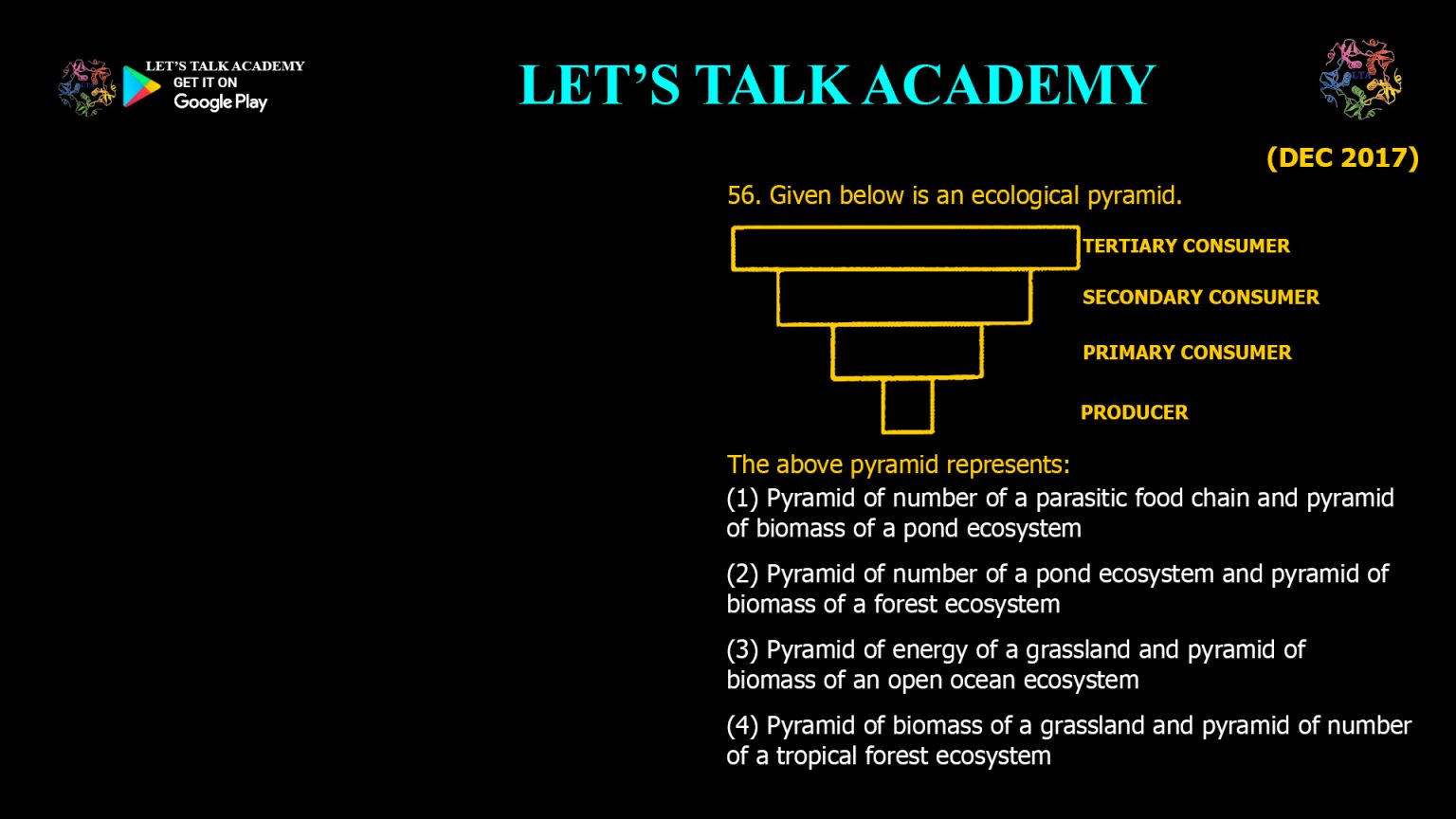 Understanding Ecological Pyramids: Matching Pyramid Types to Ecosystems ...