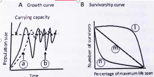Matching r and K Strategies to Growth and Survivorship Curves: A ...