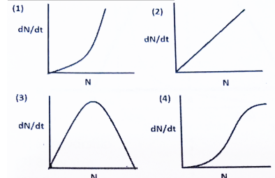 Exponential Population Growth: The dN/dt = rN Equation Explained - CSIR NET LIFE SCIENCE ...