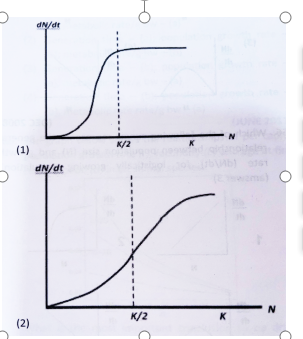 Which Plot Best Represents Logistic Growth? Understanding the S-Shaped ...