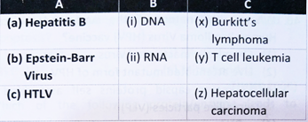 Classification of Oncogenic Viruses by Genome Type and Associated ...