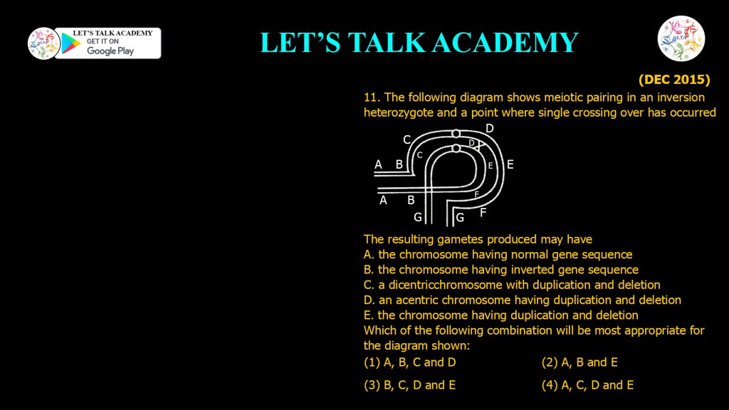 Gamete types produced after single crossover in a paracentric inversion ...
