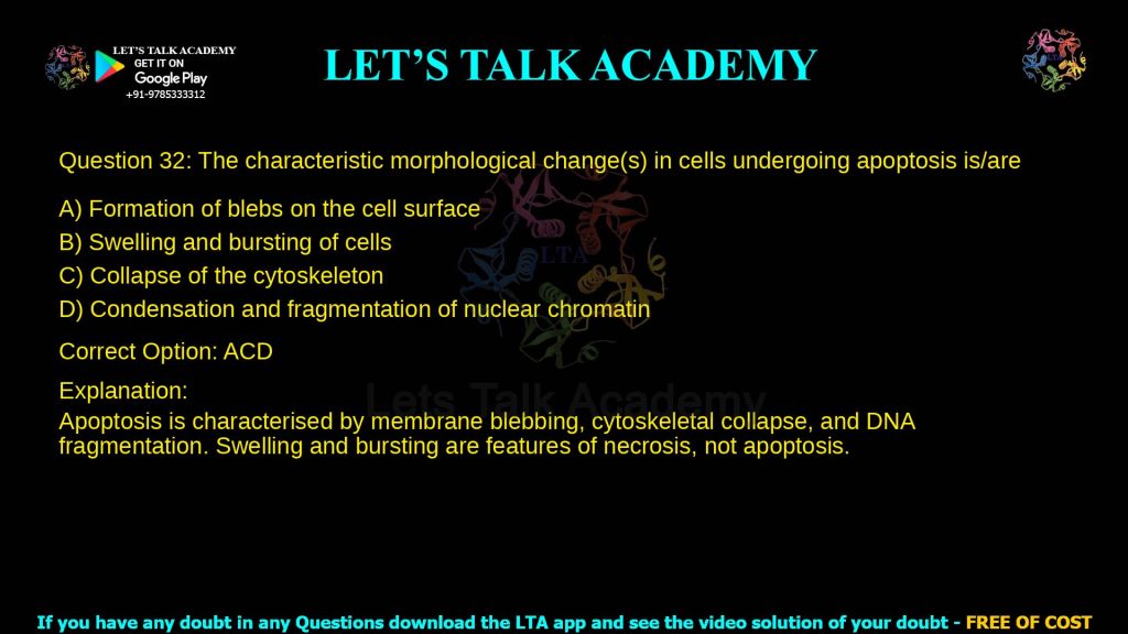 Characteristic Morphological Changes in Cells Undergoing Apoptosis ...
