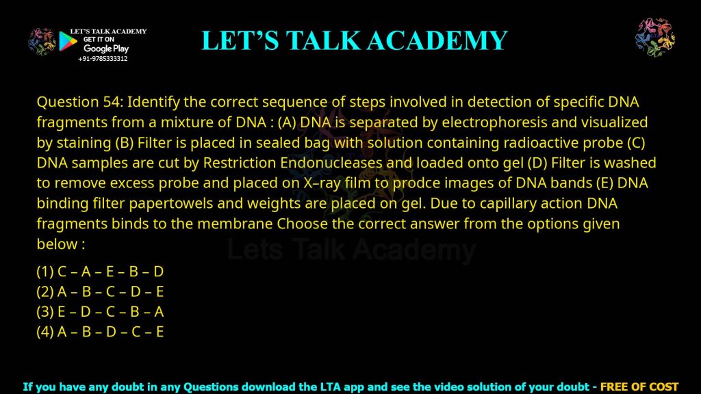 Southern Blot DNA Detection Sequence - CSIR NET LIFE SCIENCE COACHING ...